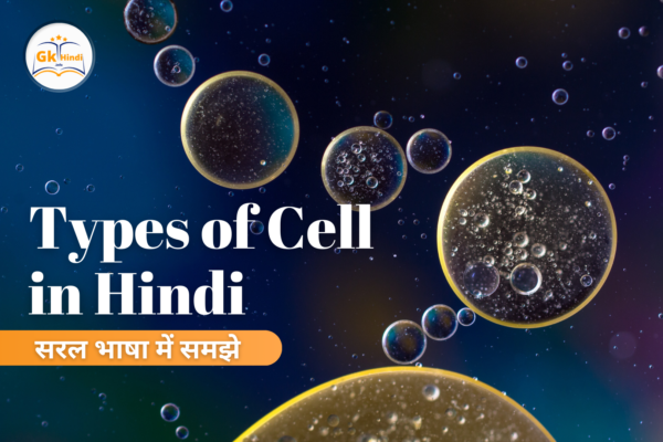 Types of Cell in Hindi: सरल भाषा में आसान समझाएं